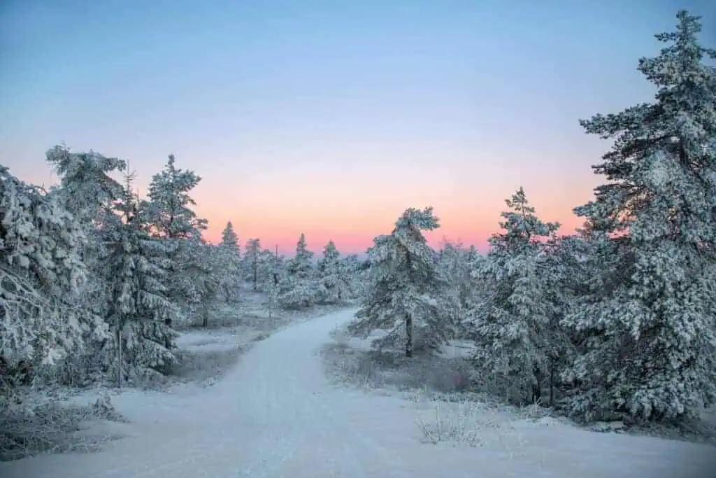 50+ Heartwarming Winter Quotes to Brighten Cold Days - WORDISTA